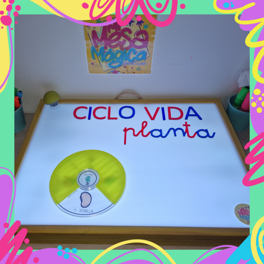 Ciclo de vida | Mi Mesa Magica