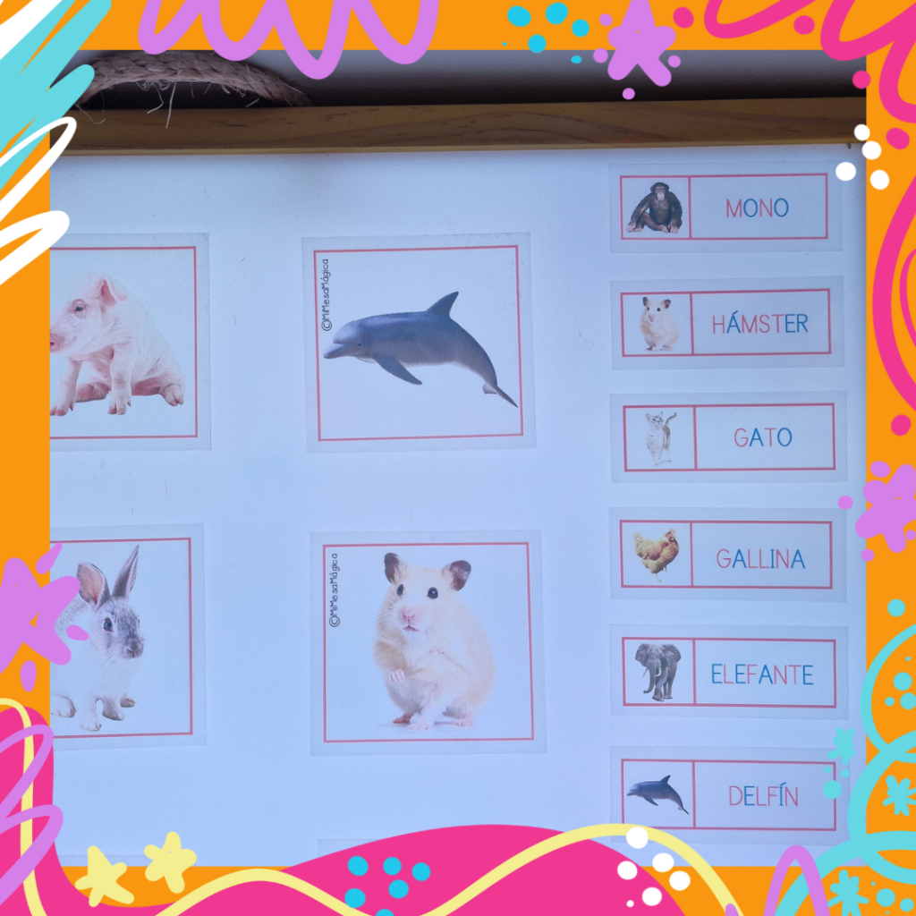 Tarjetas Montessori ANIMALES - Mi Mesa Magica
